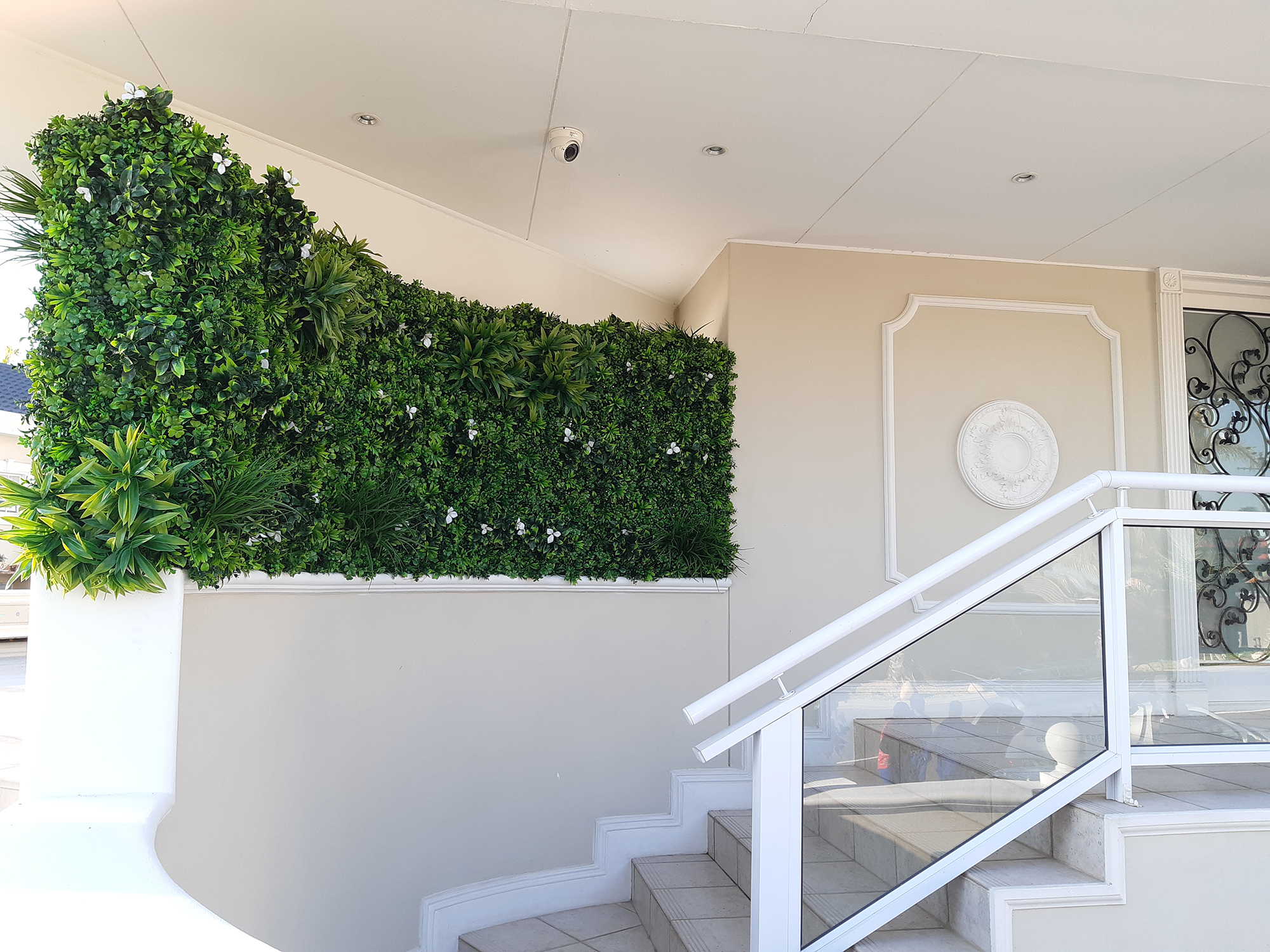 How easyivy can assist you create instant privacy - Easy Ivy