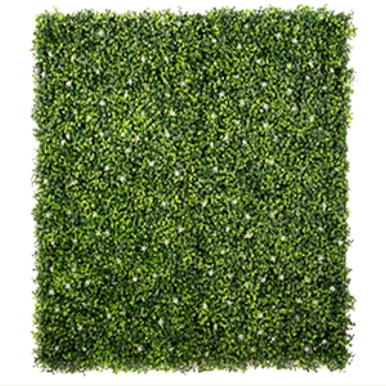 Green Wall Ranges - Easyivy