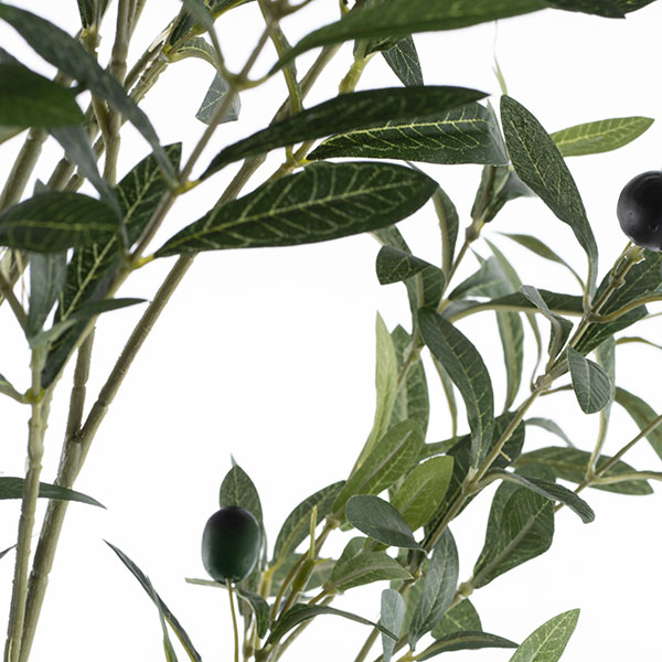 Olive Tree Fire Rated 1800mm H R2999 - EasyIvy Foliage