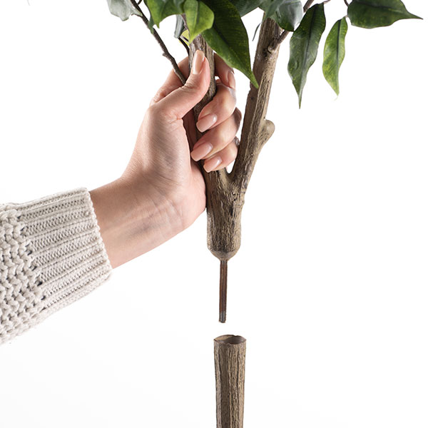 Weeping Fig Tree Fire Rated 1600mm H R2999 - EasyIvy Foliage