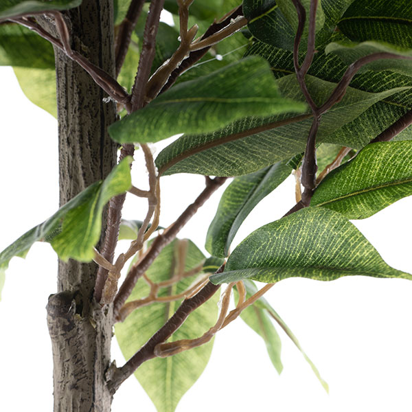 Weeping Fig Tree Fire Rated 1600mm H R2999 - EasyIvy Foliage